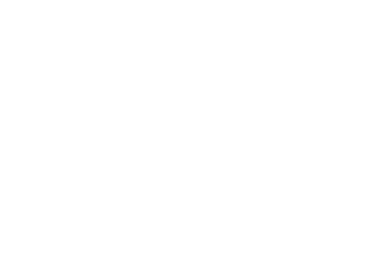Home - Stadium Support Services